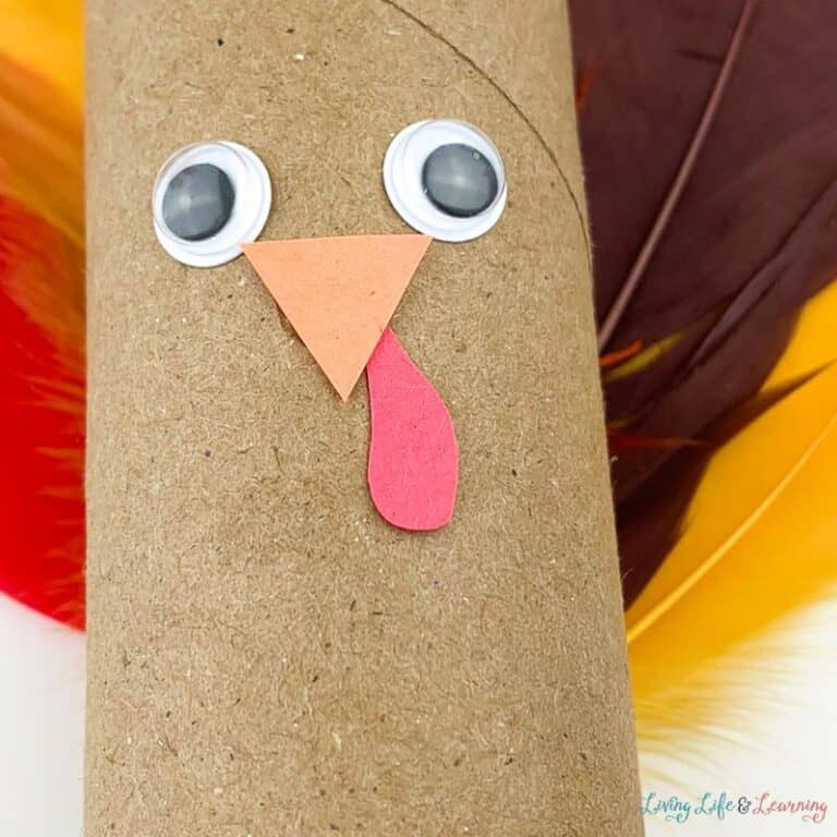 Toilet Paper Roll Turkey Craft