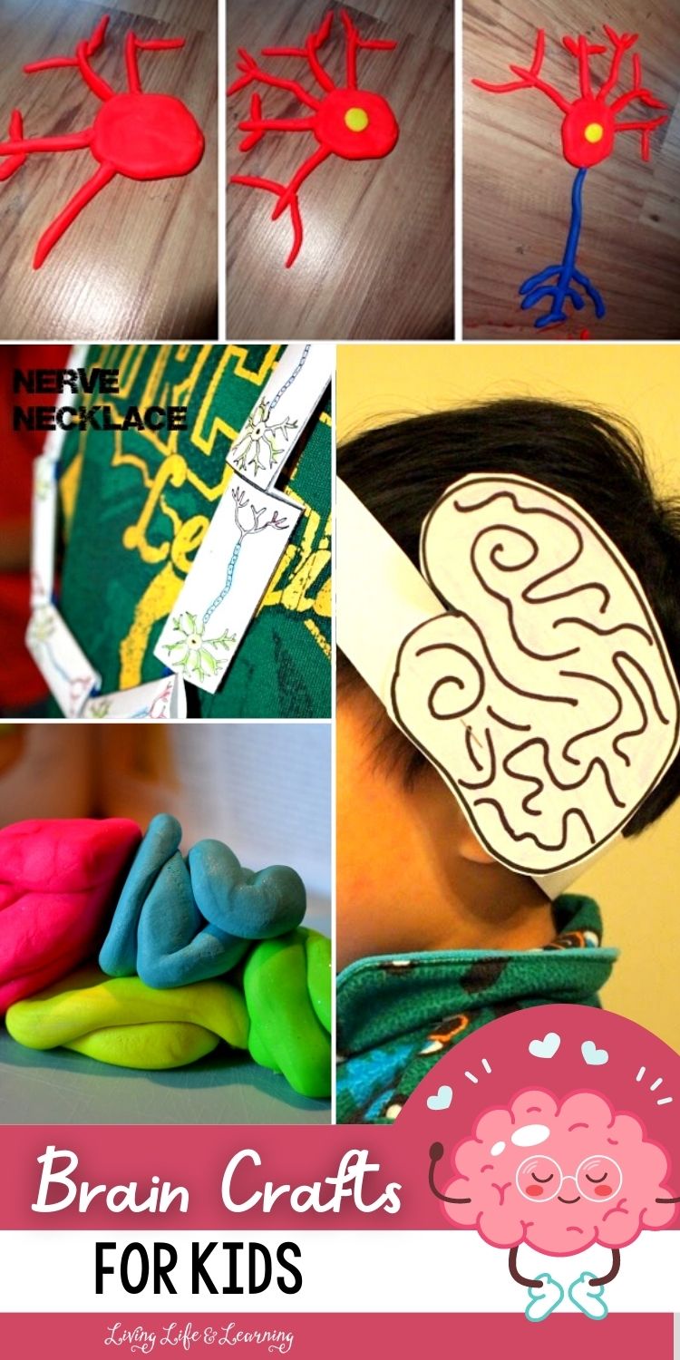 Brain Crafts For Kids Brain Crafts For Kids