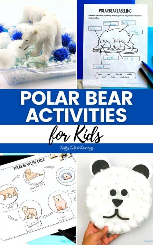 Polar Bear Activities for Kids: Fun and Learning