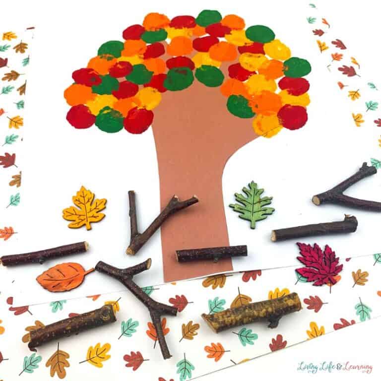 Fall Activities for Elementary Students