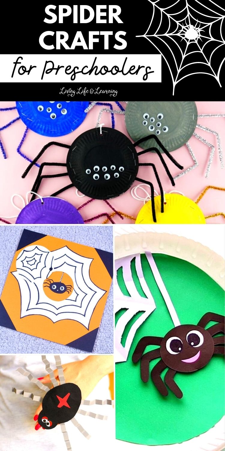 Spider Crafts for Preschoolers