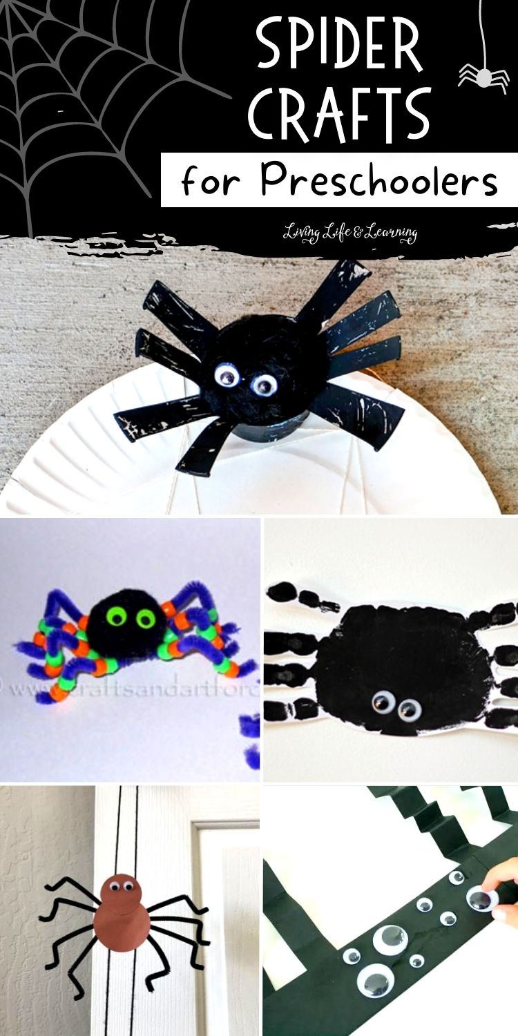 Spider Crafts for Preschoolers