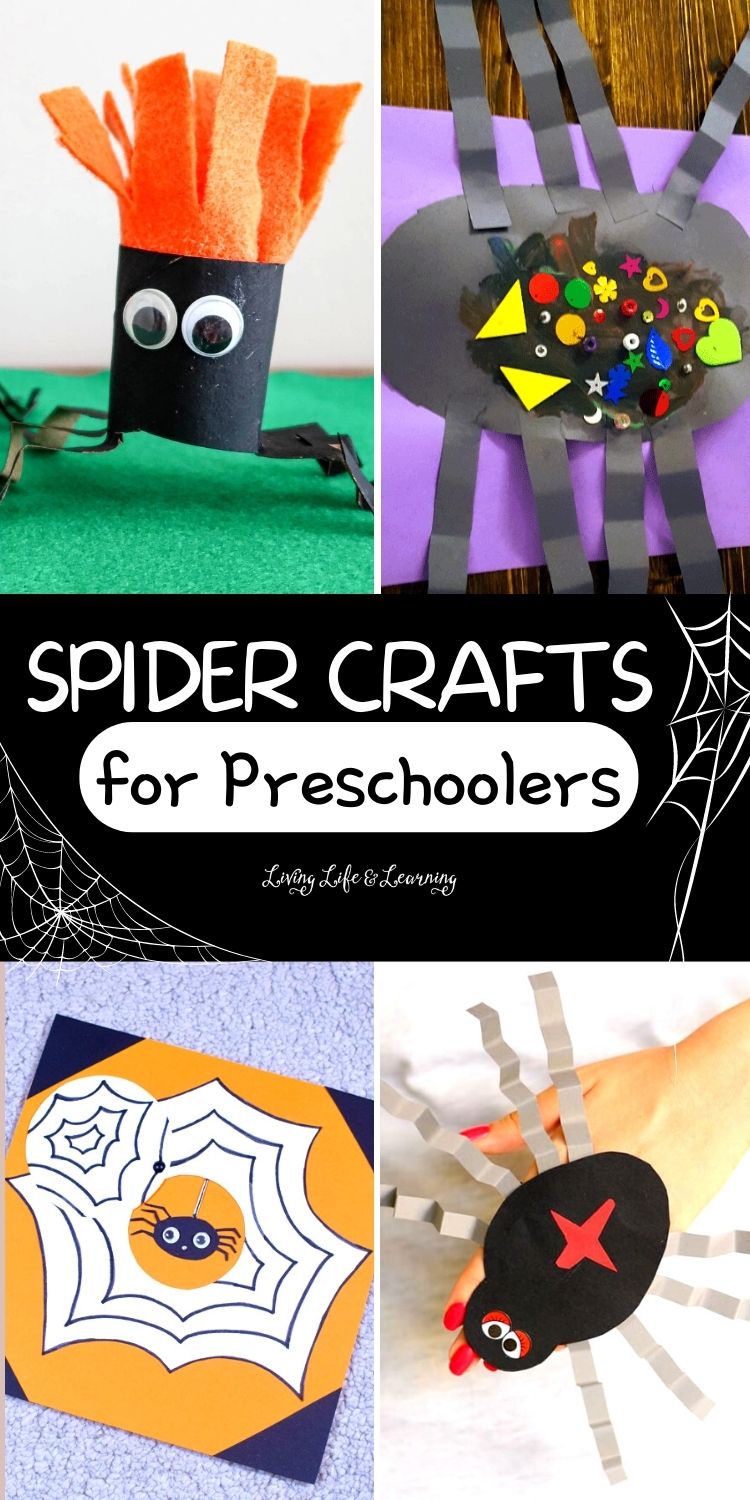 Spider Crafts for Preschoolers