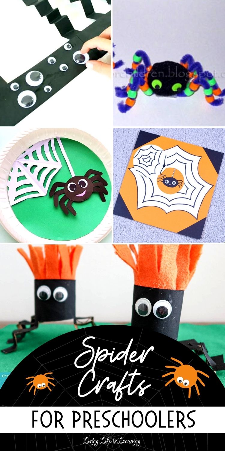 Spider Crafts for Preschoolers