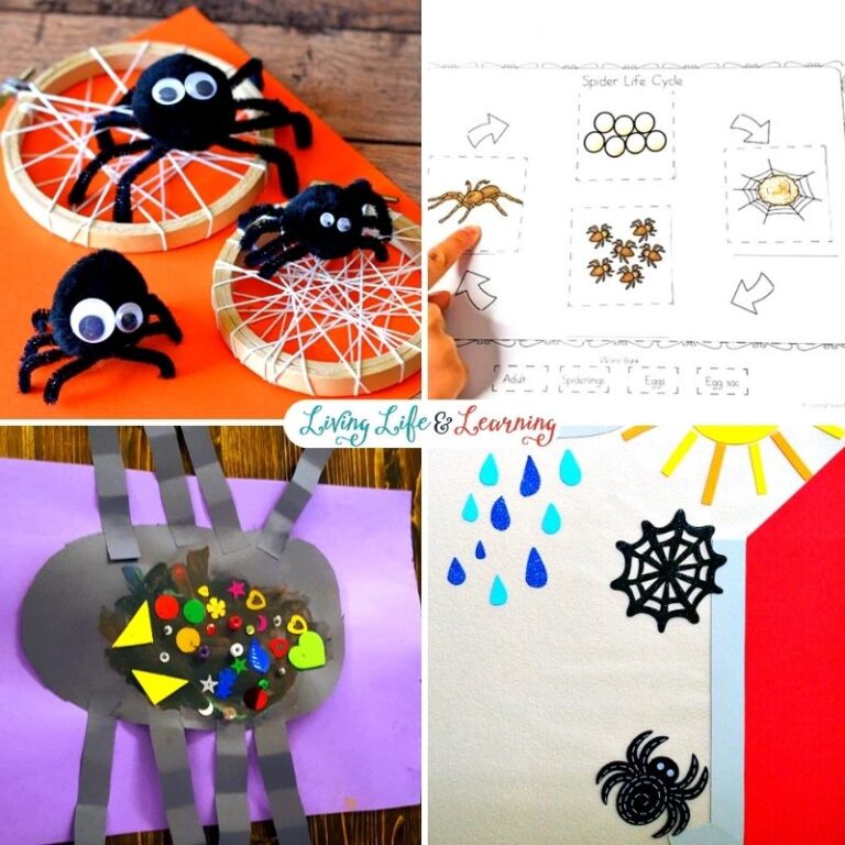 Spider Activities for Kindergarten