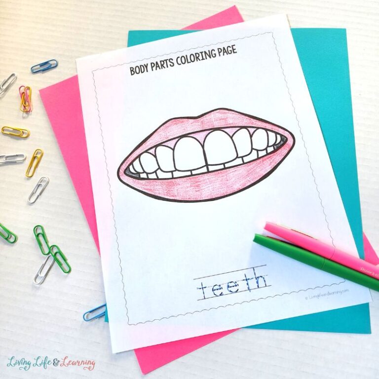 Fun and Educational Body Parts Coloring Pages for Kids