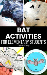 Bat Activities for Elementary Students