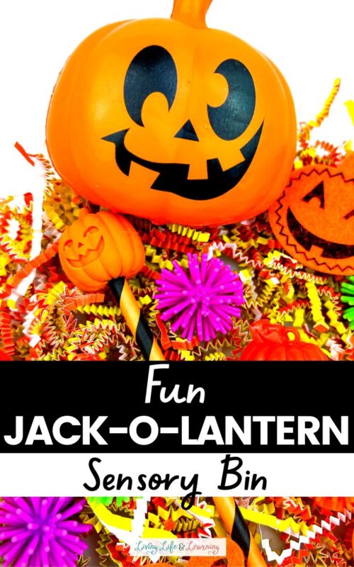 Fun Jack-O-Lantern Sensory Bin