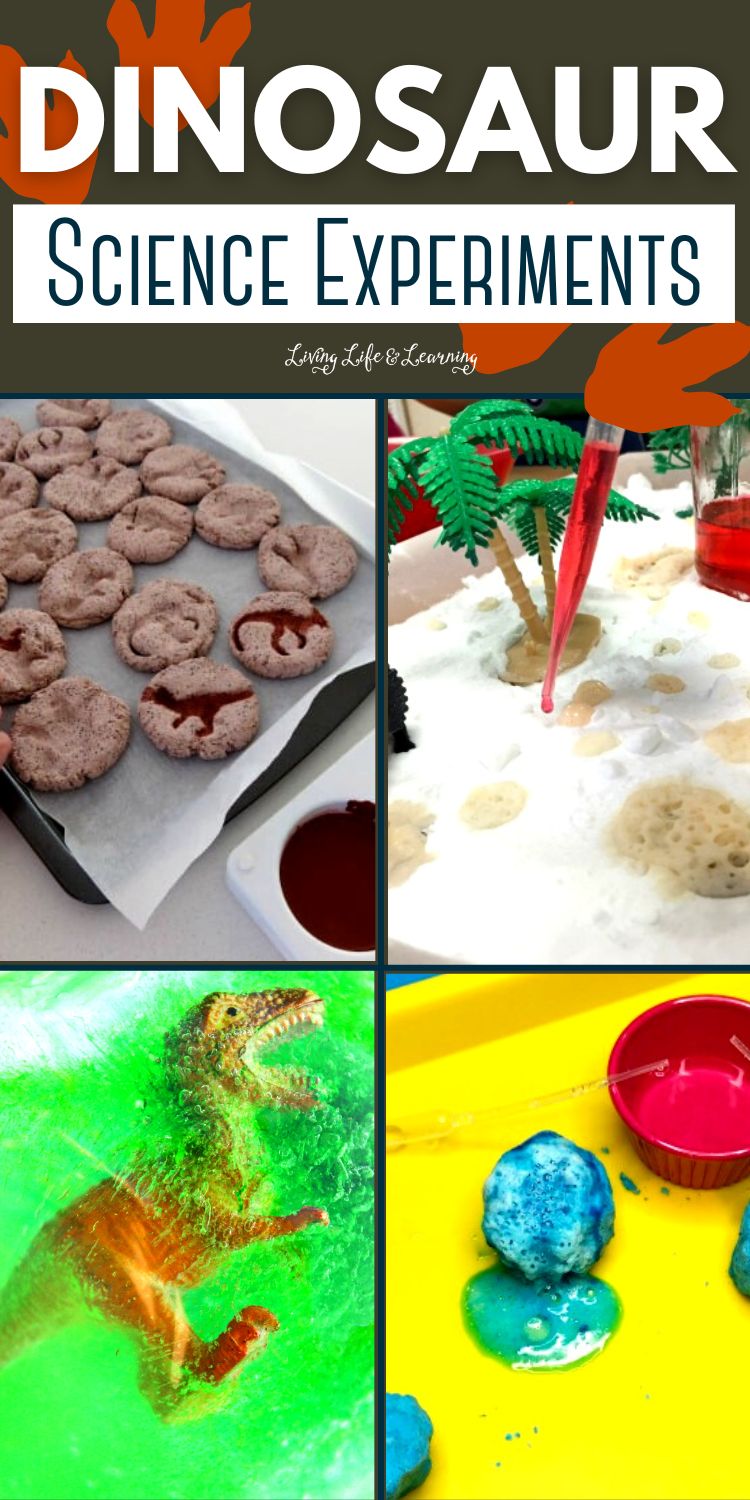 Dinosaur Science Experiments Dinosaur Science Experiments