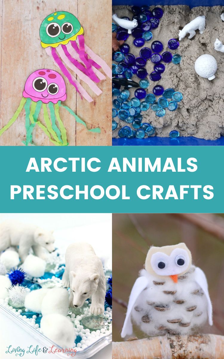 Arctic Animals Preschool Crafts