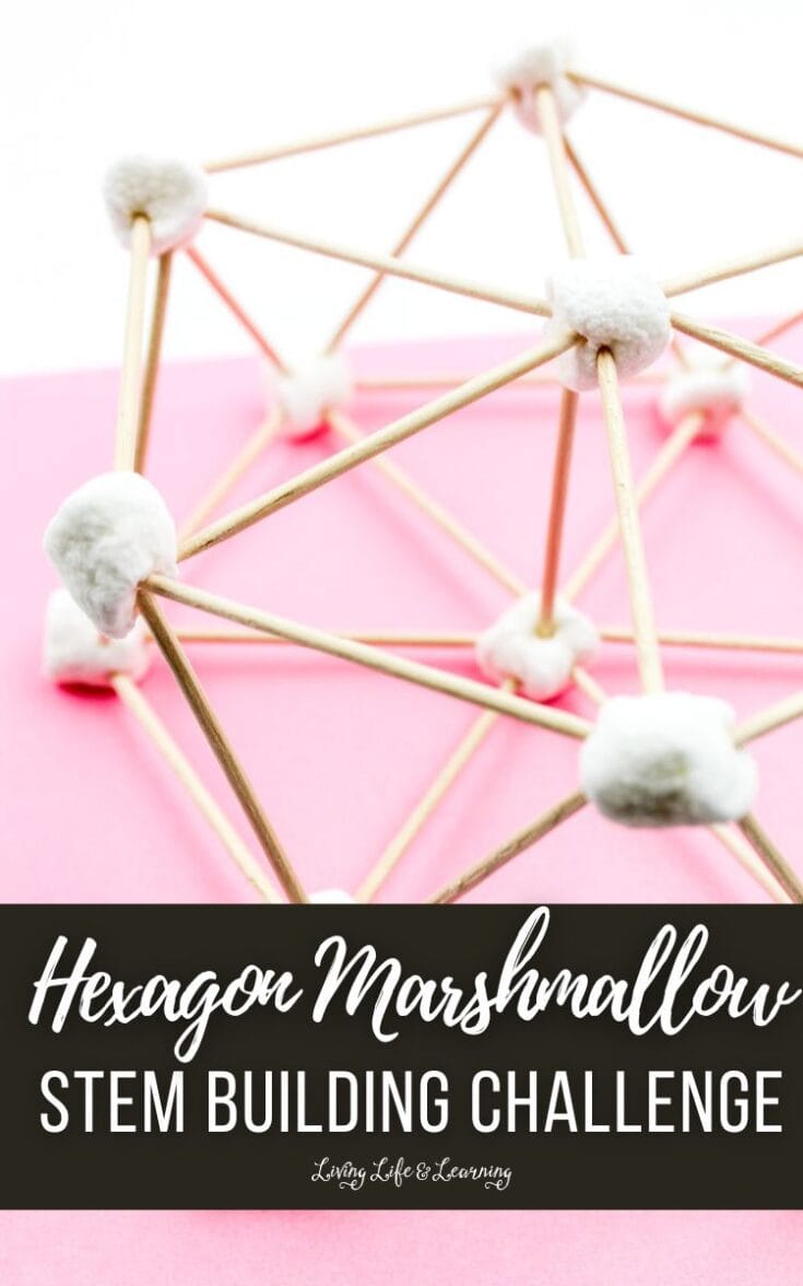 Hexagon Marshmallow STEM Building Challenge