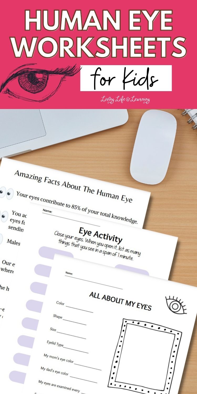 Human Eye Worksheets for Kids