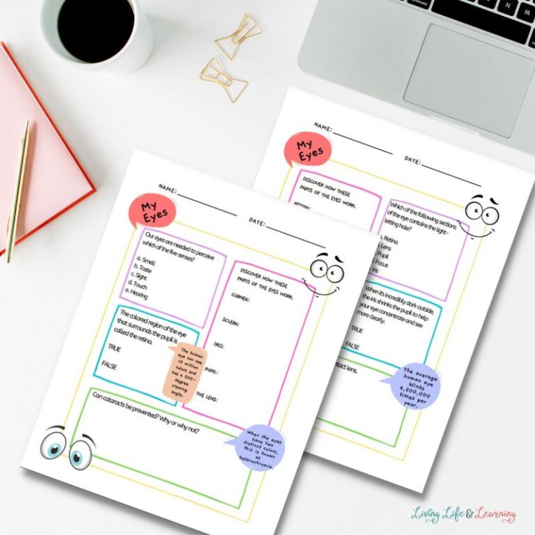 Human Eye Worksheets for Kids
