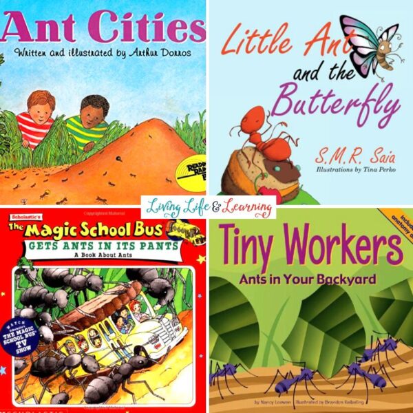 Ant Books for Preschoolers