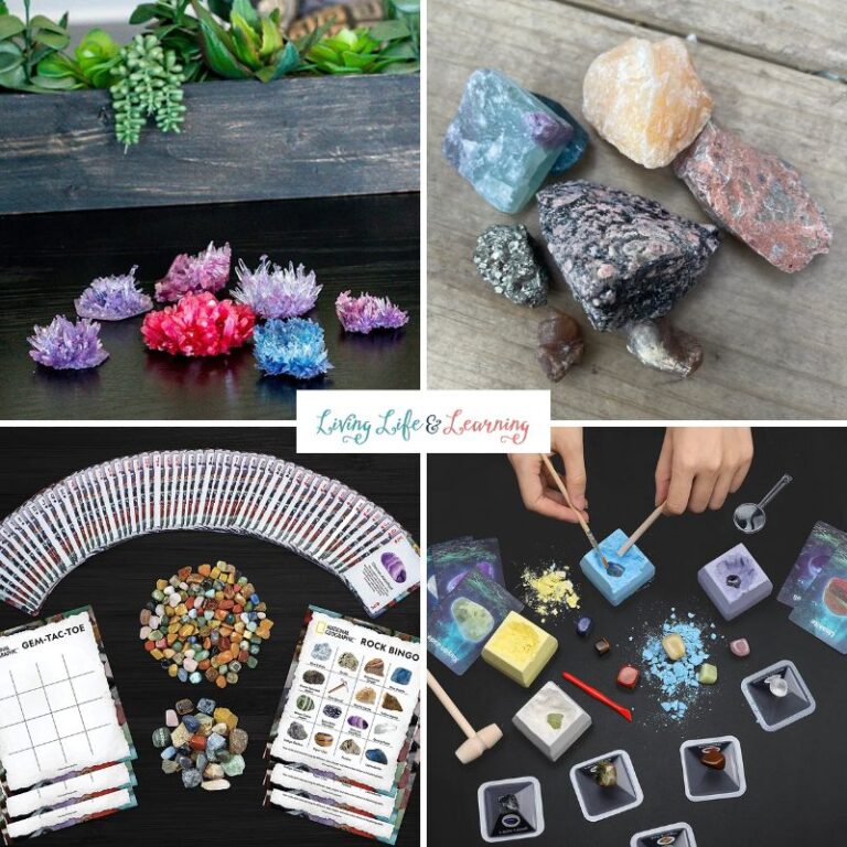 Geology Gifts for Kids