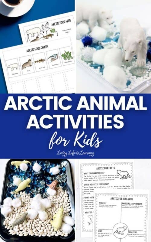 Arctic Animal Activities for Kids