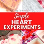 Simple Heart Experiments