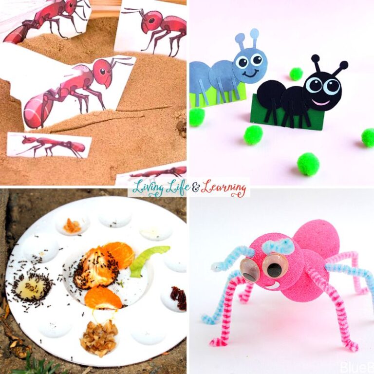 Ant Activities for Kindergarten
