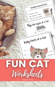 Fun Cat Worksheets