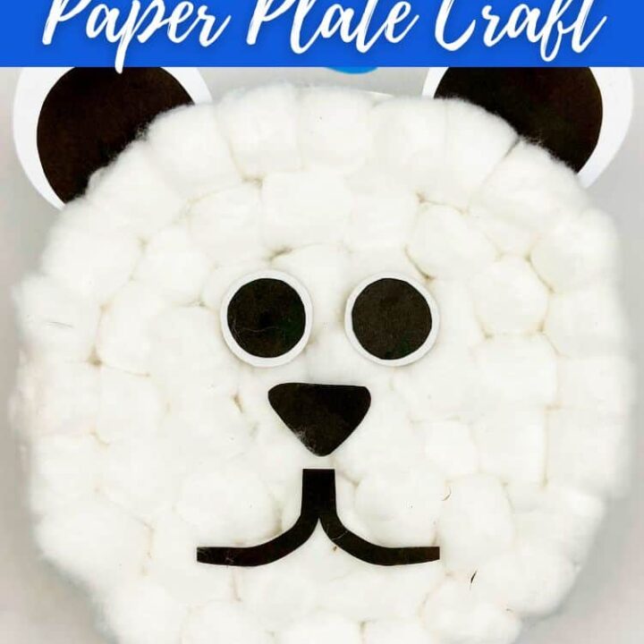 Polar Bear Paper Plate Craft