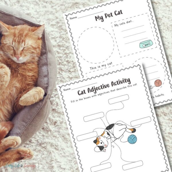 Fun Cat Worksheets