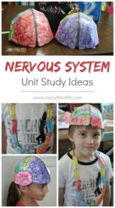 Human Body Crafts for Elementary