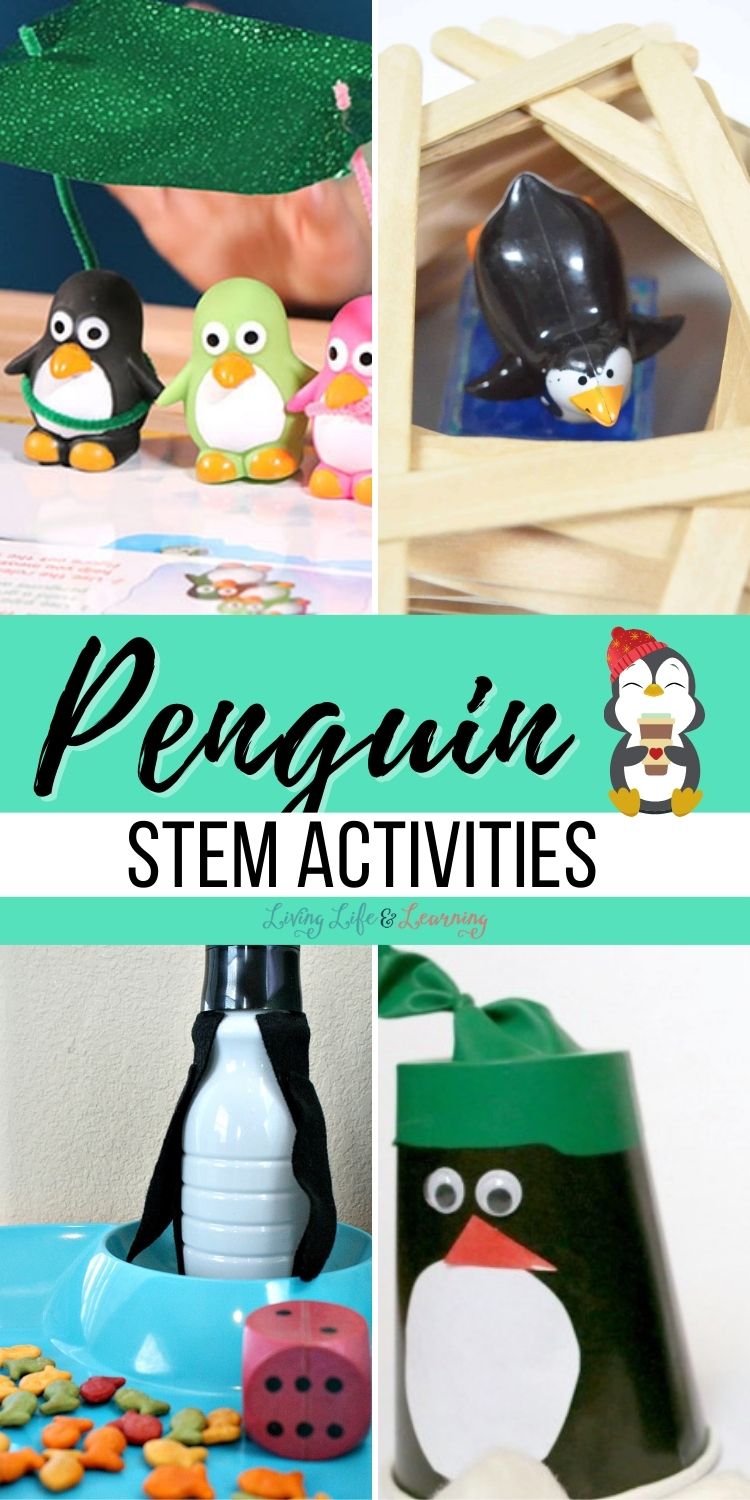 Penguin STEM Activities Penguin STEM Activities