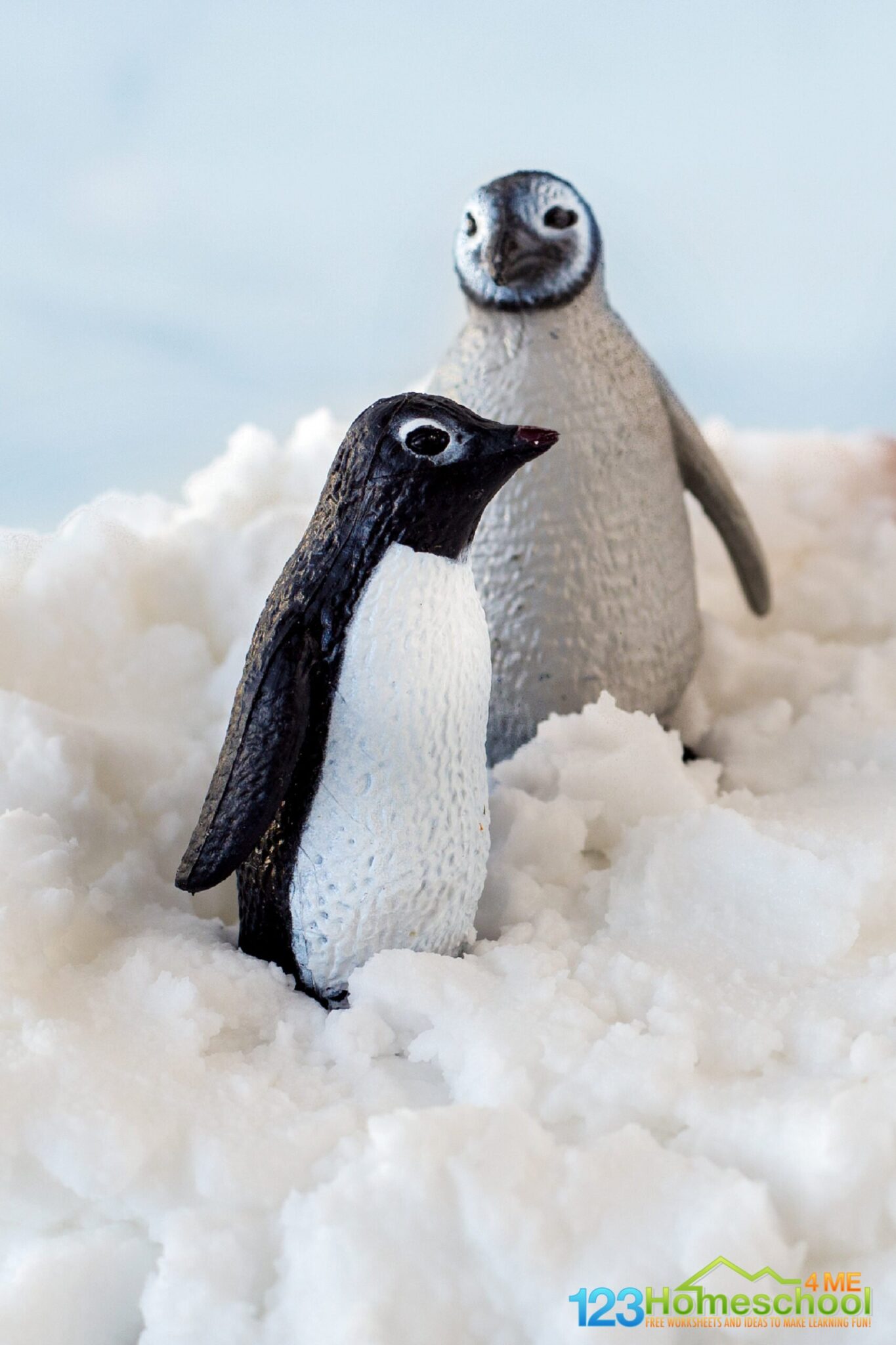 Penguin Science Activities for Preschoolers