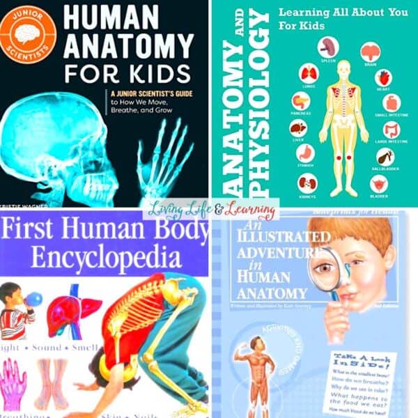 Anatomy Books for Kids
