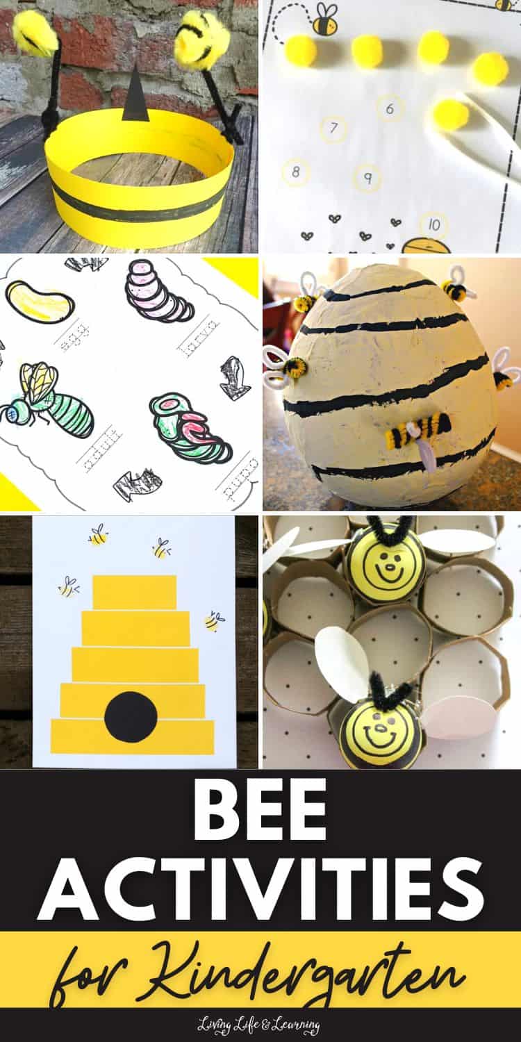 Bee Activities for Kindergarten