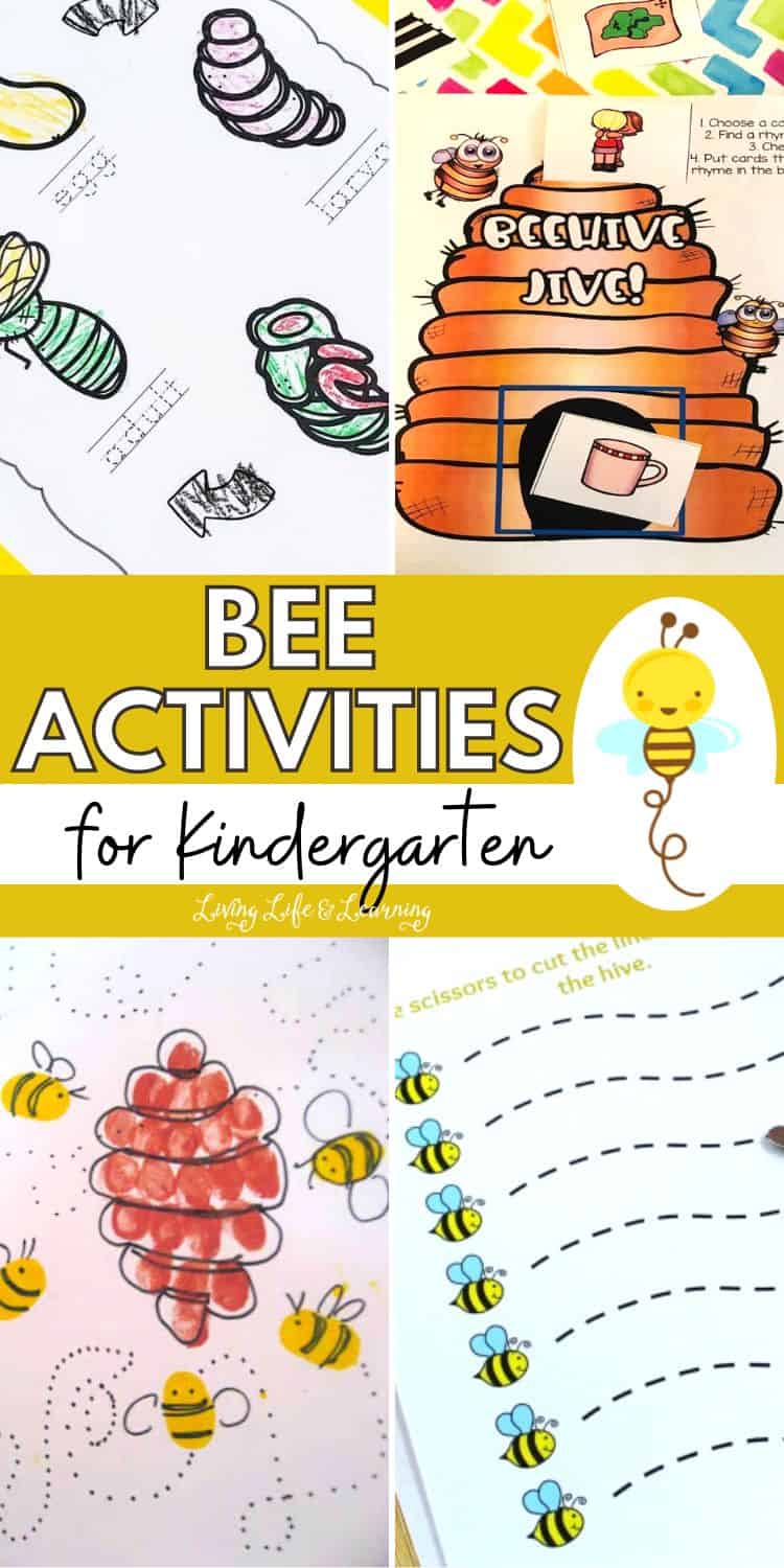 Bee Activities for Kindergarten