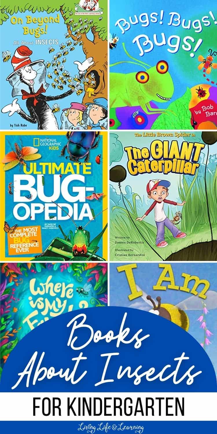 Books About Insects for Kindergarten