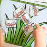 Ant Preschool Activities
