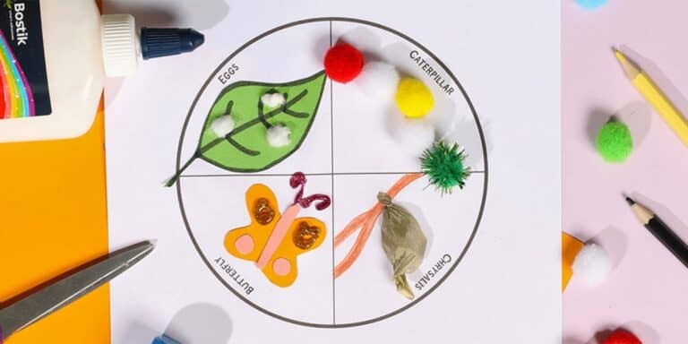 Butterfly Life Cycle Activities for Kindergarten