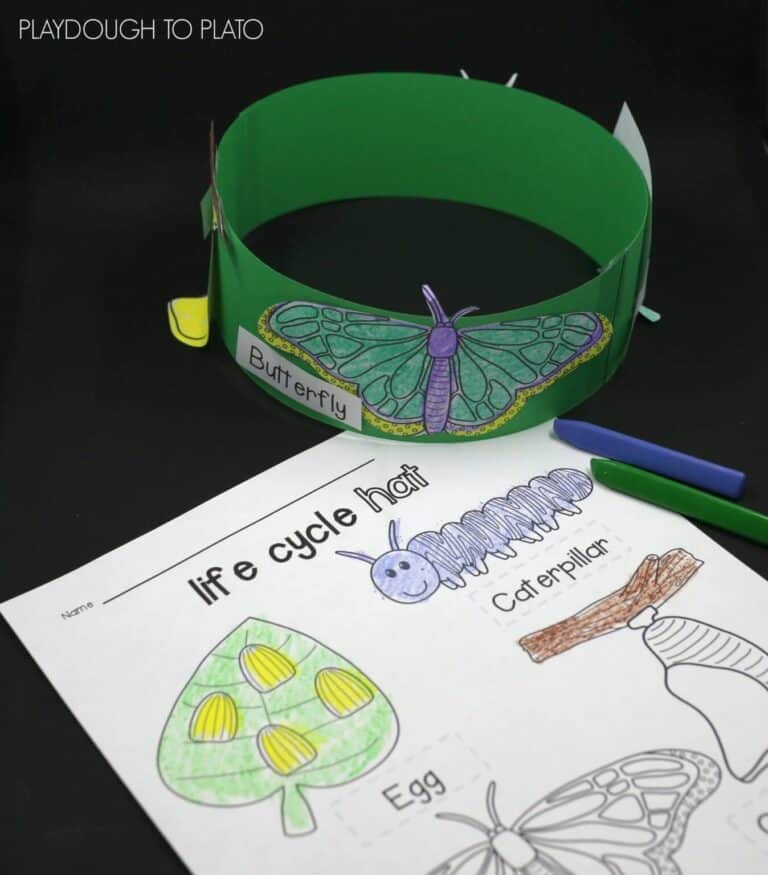 Butterfly Life Cycle Activities for Kindergarten