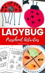 Fun Ladybug Preschool Activities