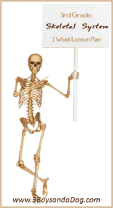 Skeleton Activities for Elementary Students