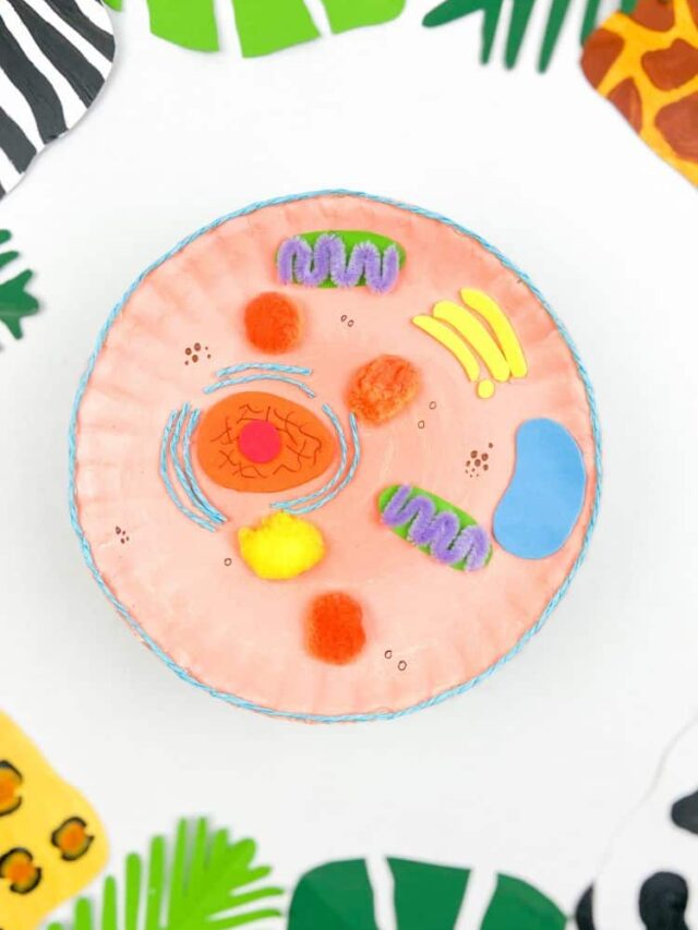 Paper Plate Animal Cell Story