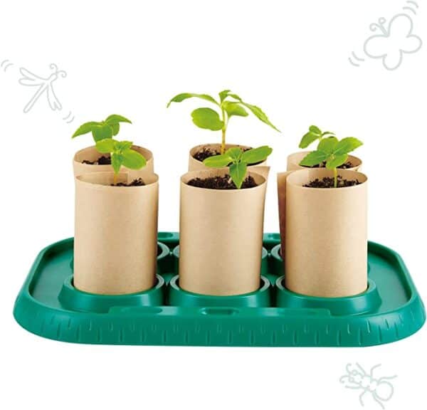 Plant Growing Kits for Kids
