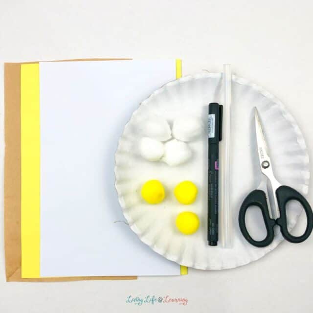 Bee Life Cycle Craft 9566