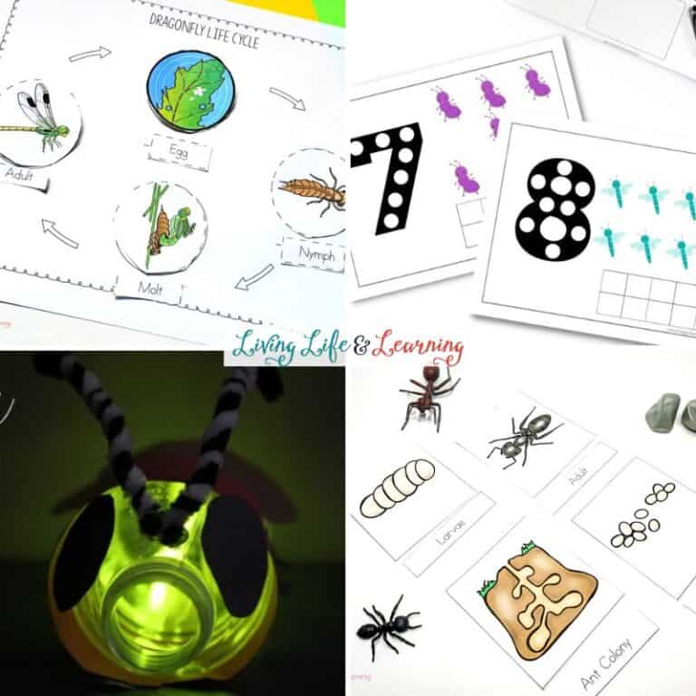 Bug Activities for Kindergarten