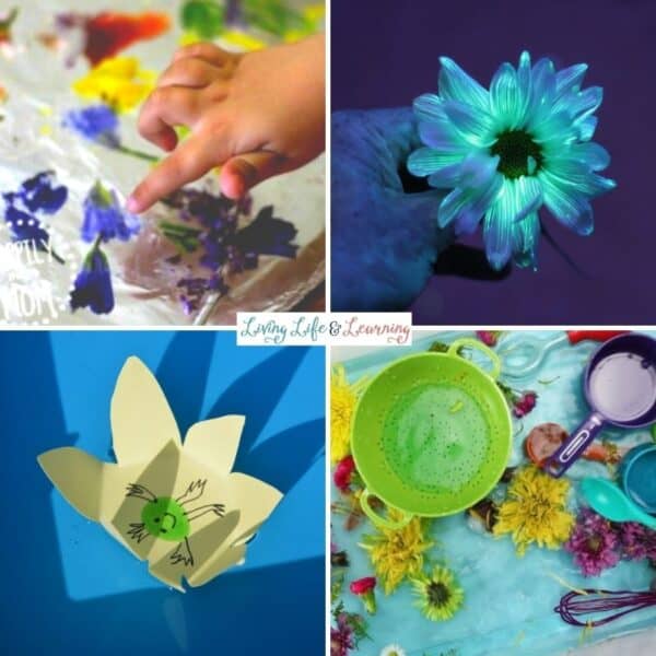 Flower Science Experiments