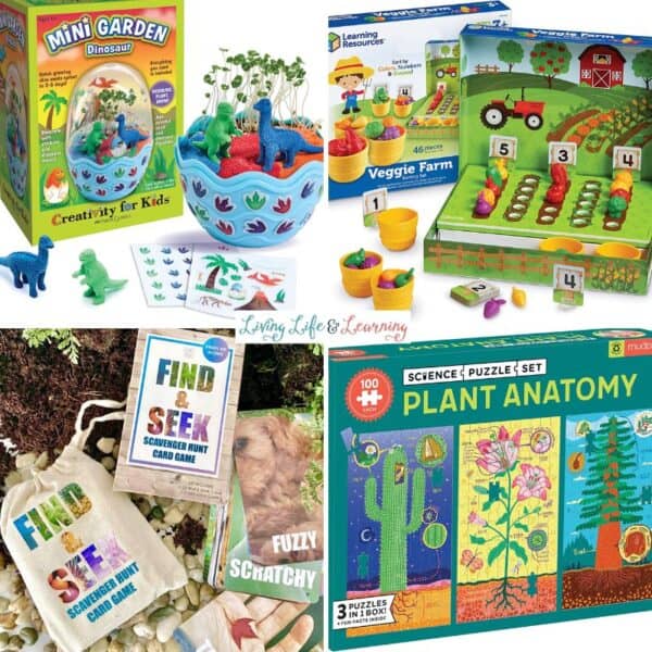 Plant Games for Kids