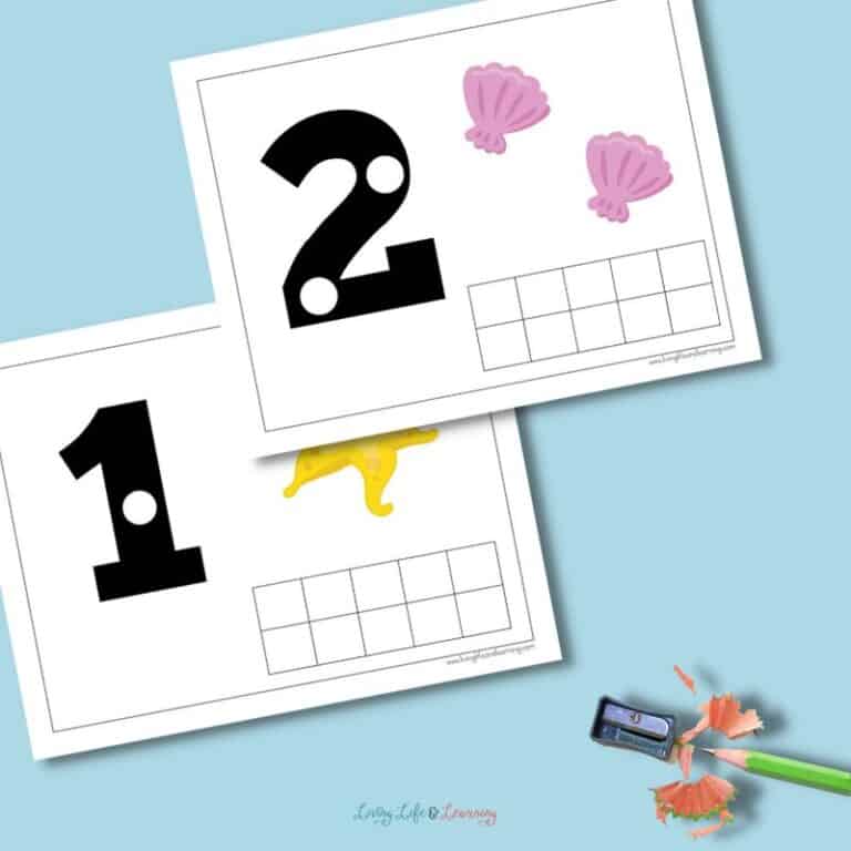 Summer Counting Mats