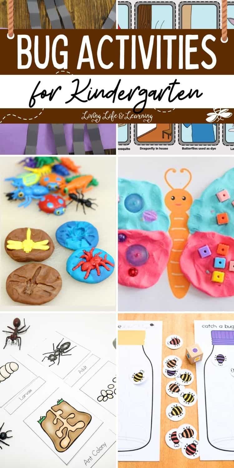 Bug Activities for Kindergarten