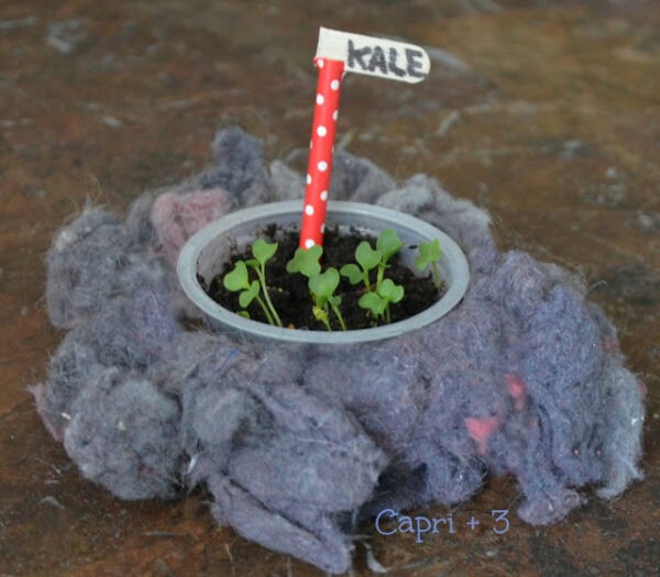 Earth Day Science Activities