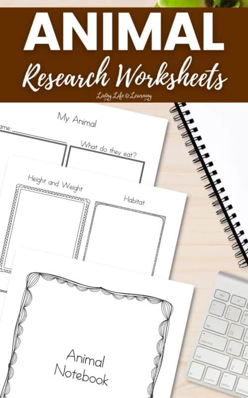 My Animal Research Worksheets