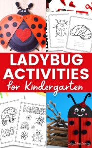 Ladybug Activities for Kindergarten