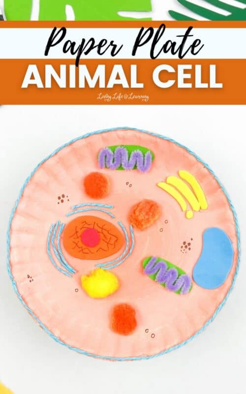 Paper Plate Animal Cell Craft: Fun and Educational Activity for Kids
