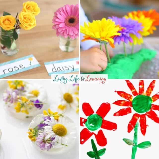Flower Sensory Activities